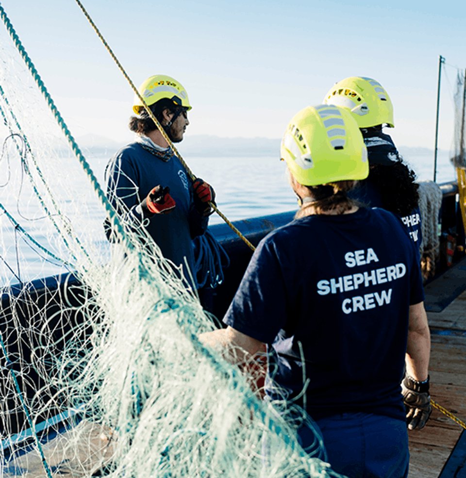 Sea Shepherd Merchandise