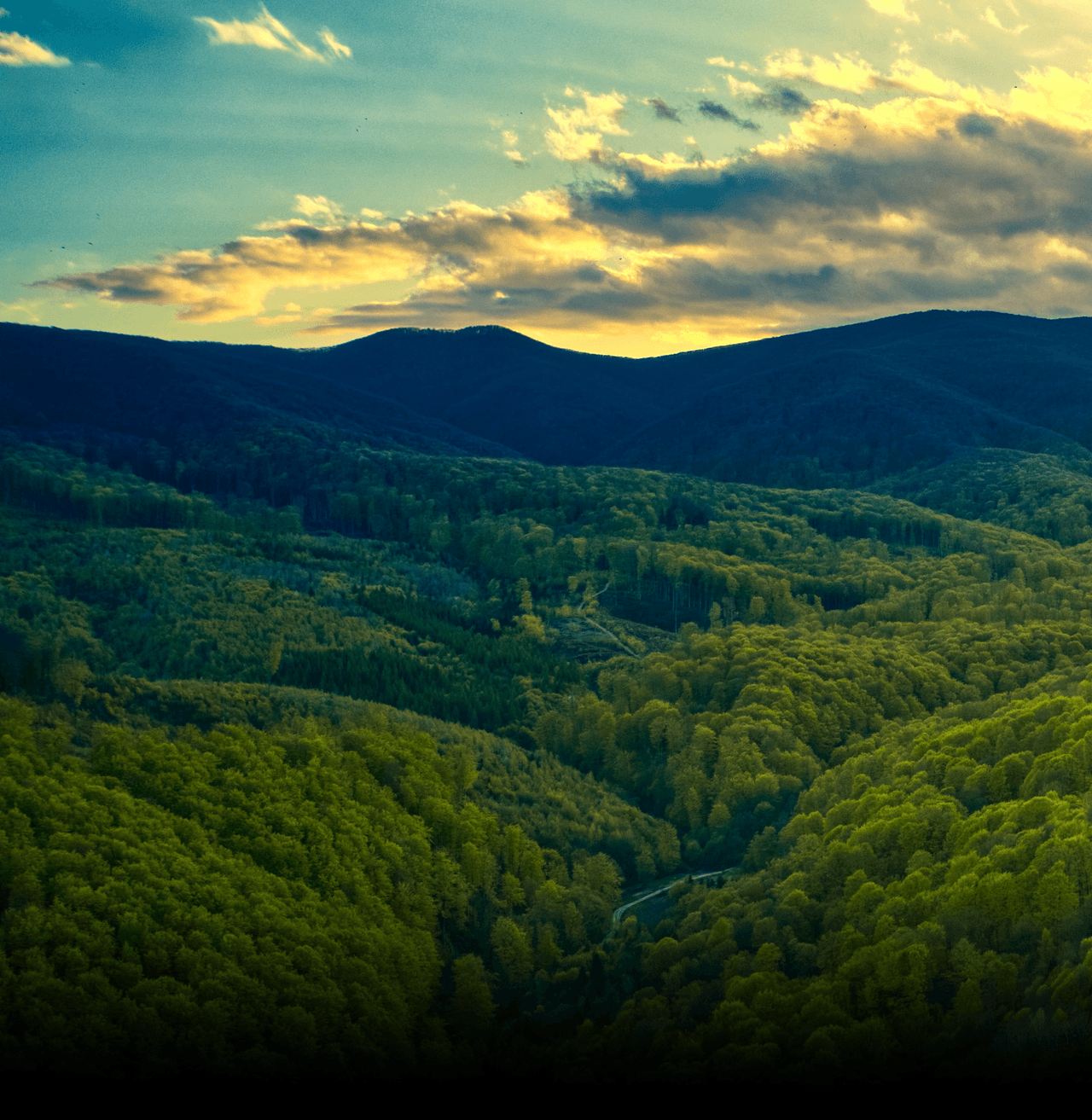 Planet Earth III | Official BBC Earth Shop