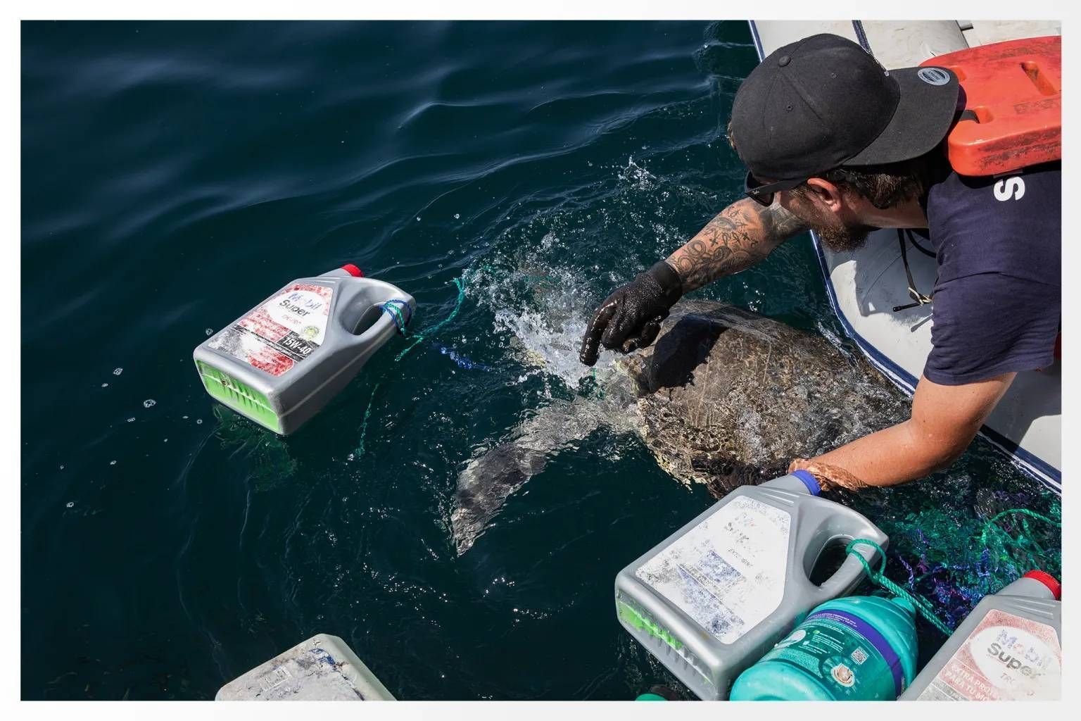 Sea Shepherd Conservation Society | Official Mechandise