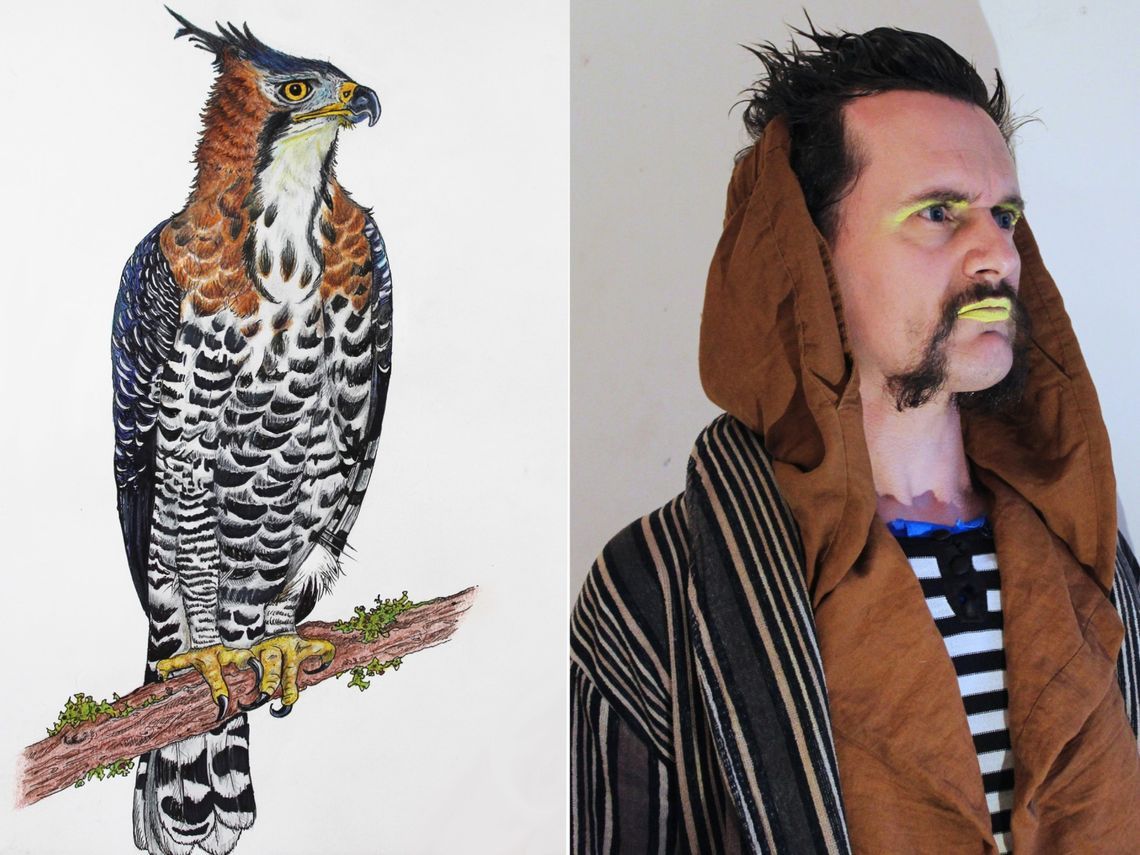 The Birds of Macbeth