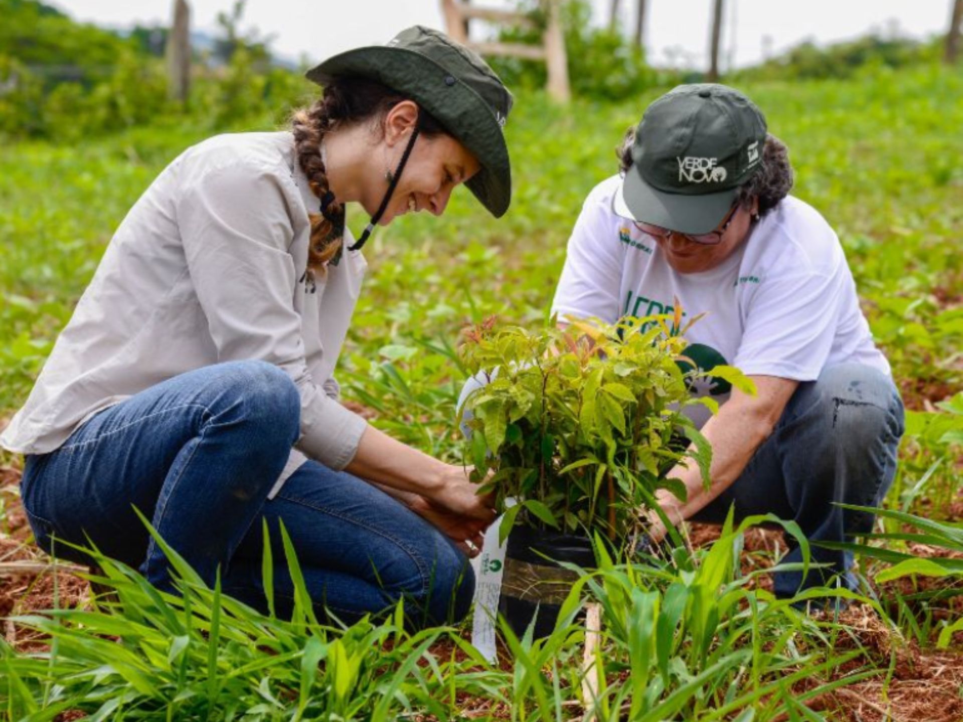 Tree planting: How your brand can get involved | Teemill