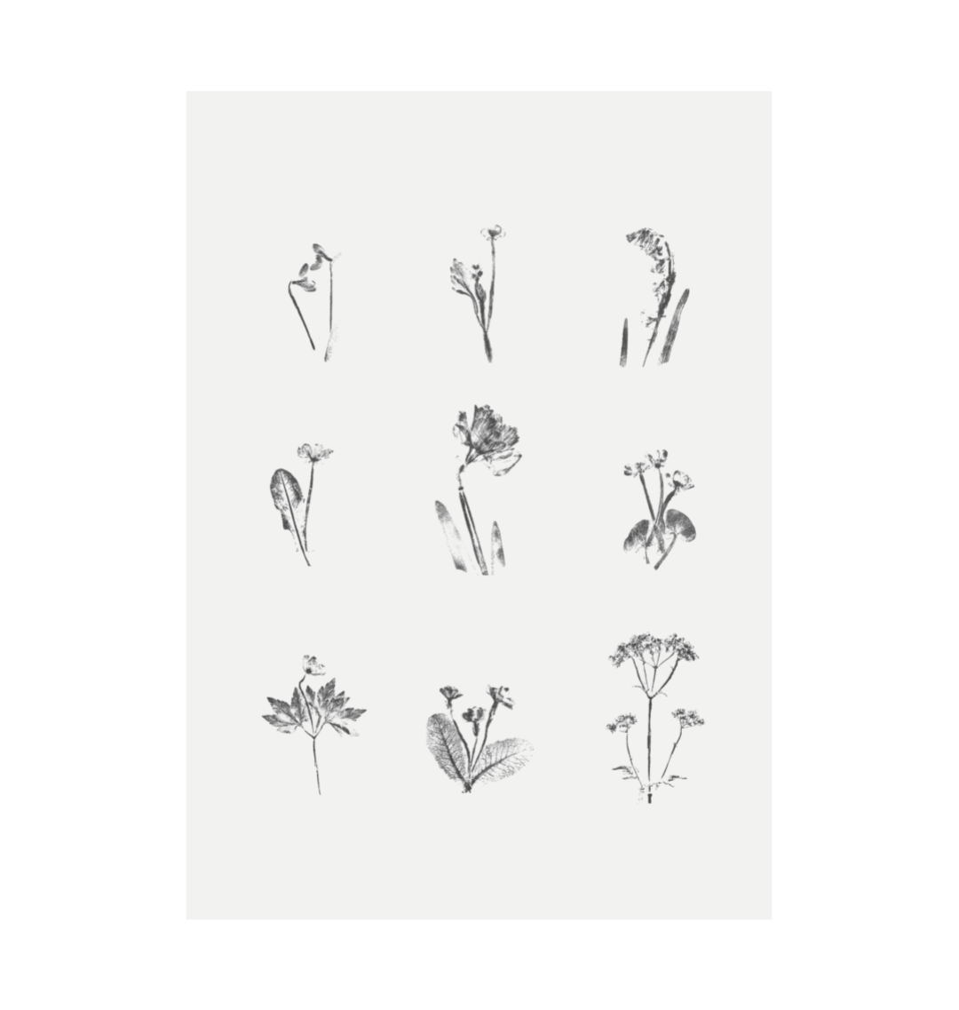 Spring Flowers Print