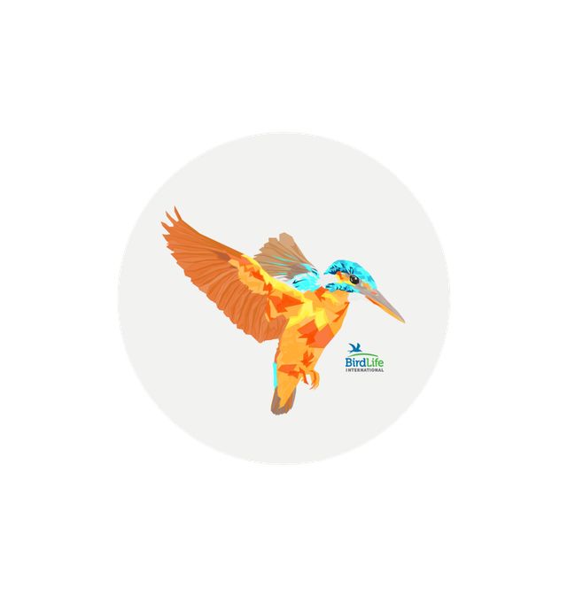 Birdlife 3