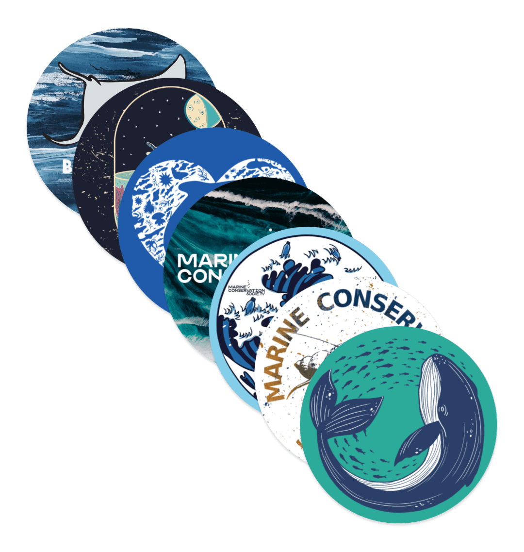 Marine Conservation Society Stickers 7 Pack