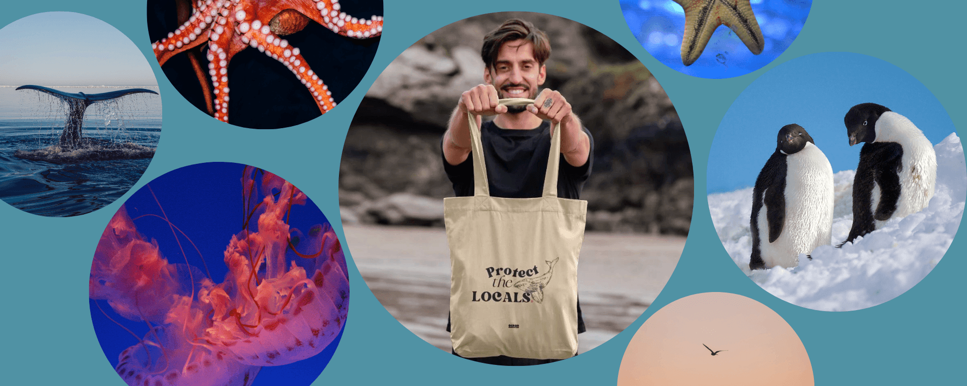 Ocean Generation Store