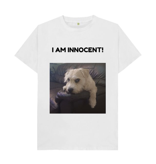 The Cool AF Collection