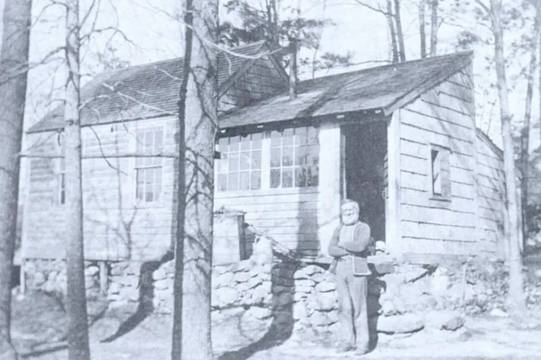 Allen's Hummingbird. An American Horror Story