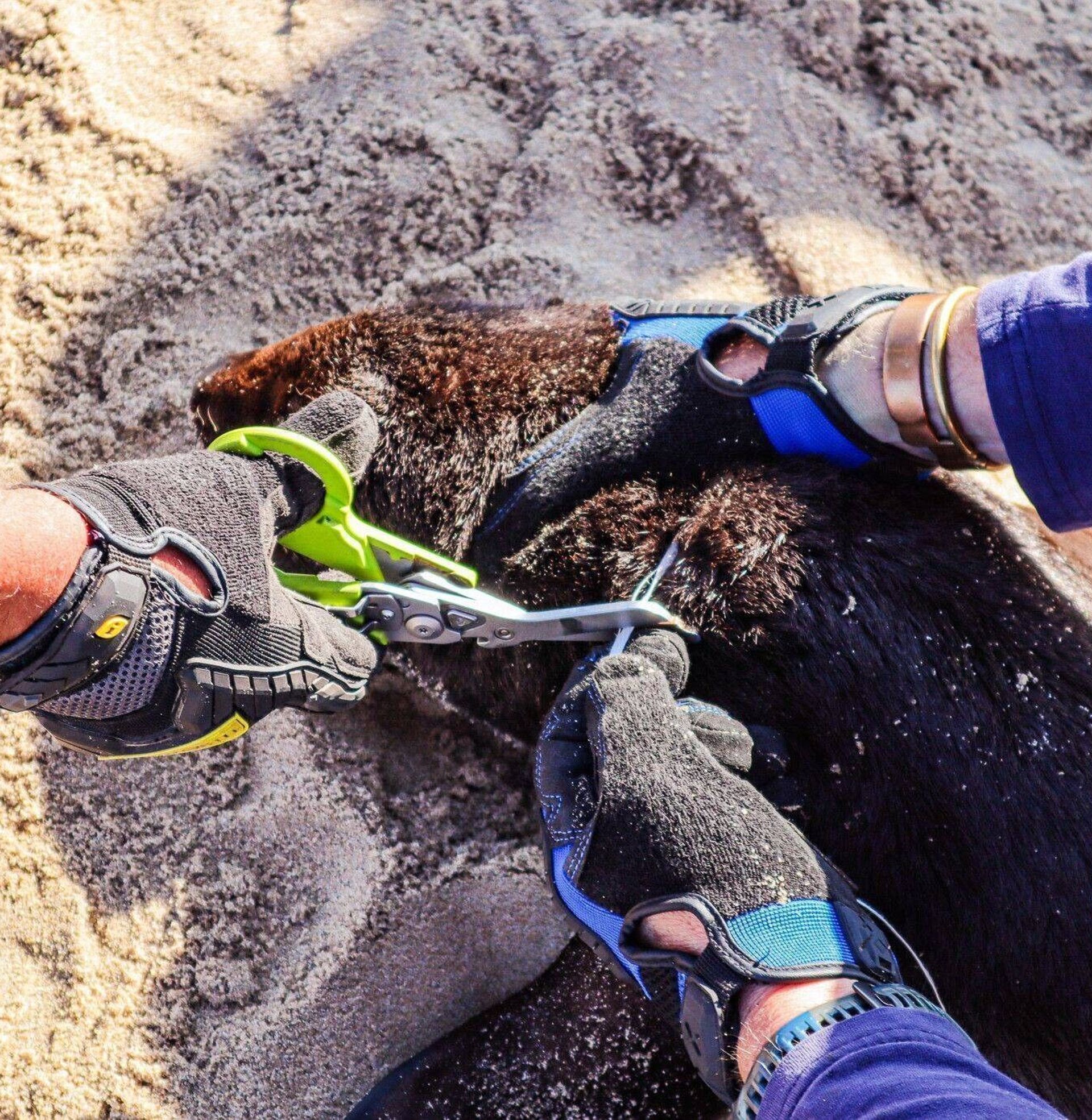 Ocean Conservation Namibia