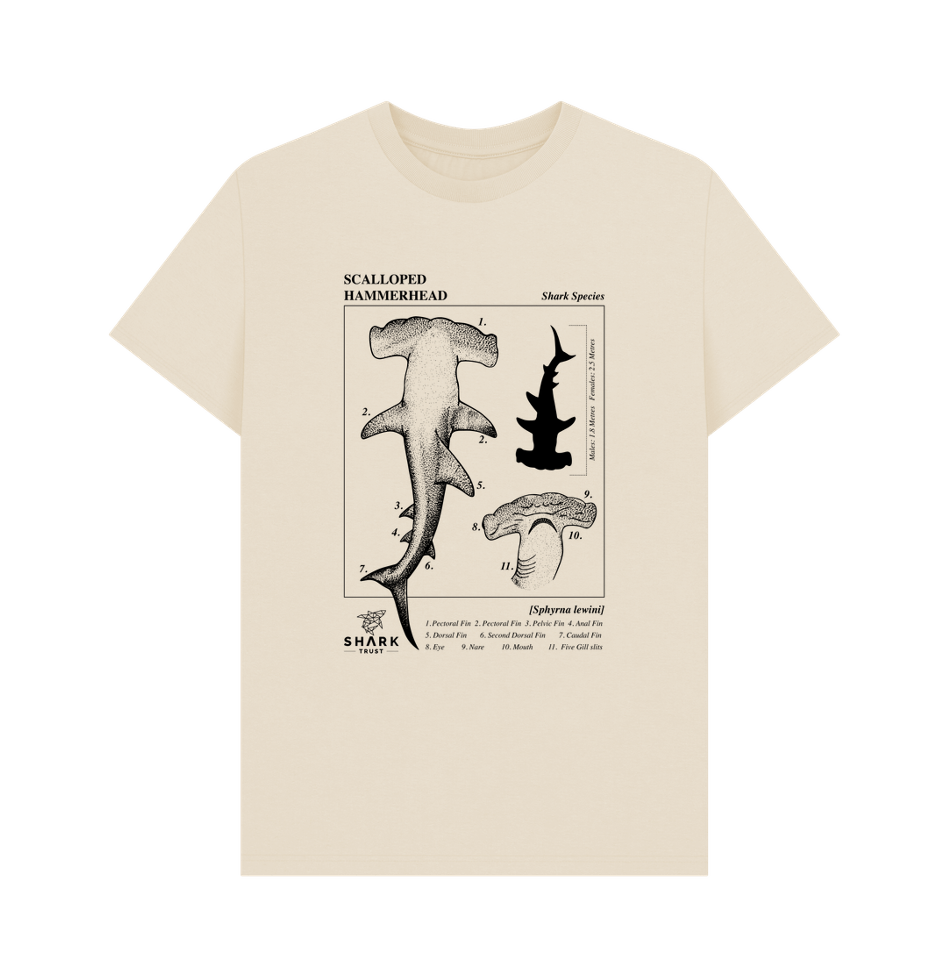 Shark T-Shirts | Official Shark Trust Shop