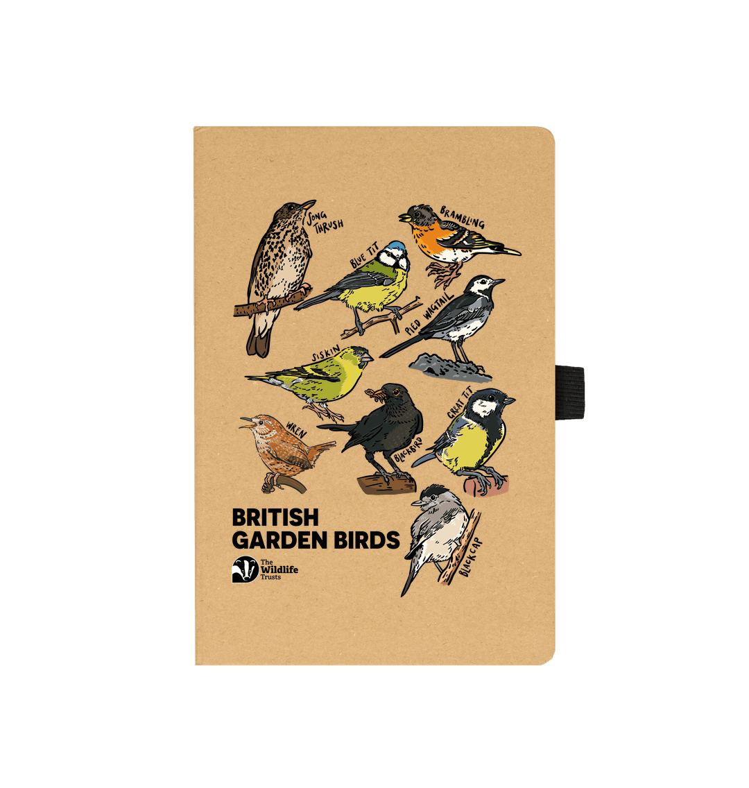 British Garden Birds Notebook
