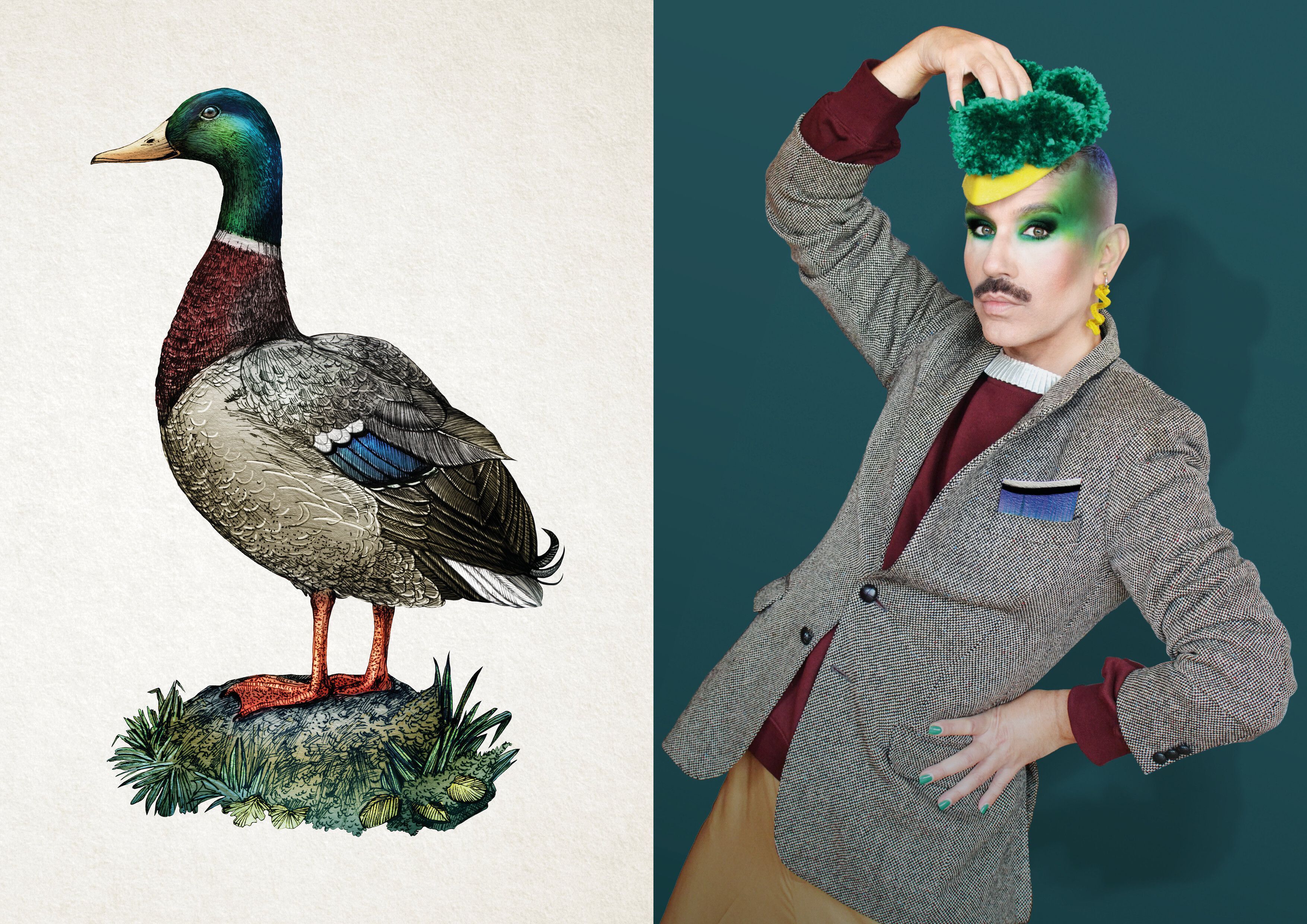 The Mallard - As Seen on TV