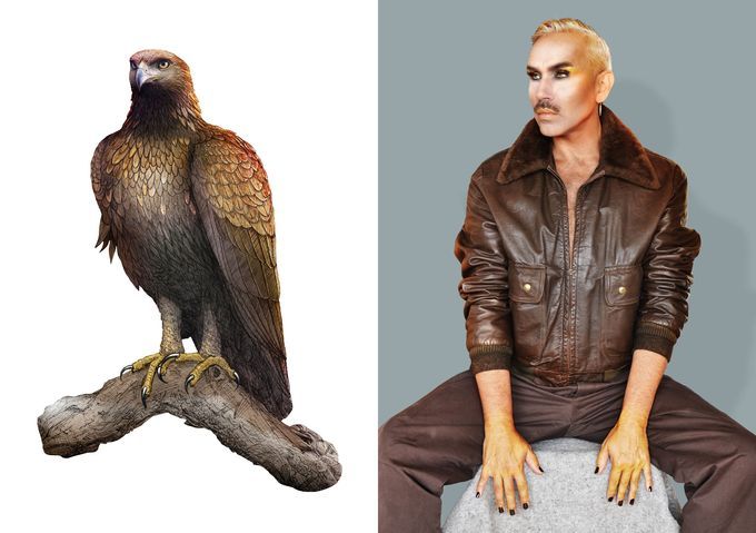 The Birds of Macbeth