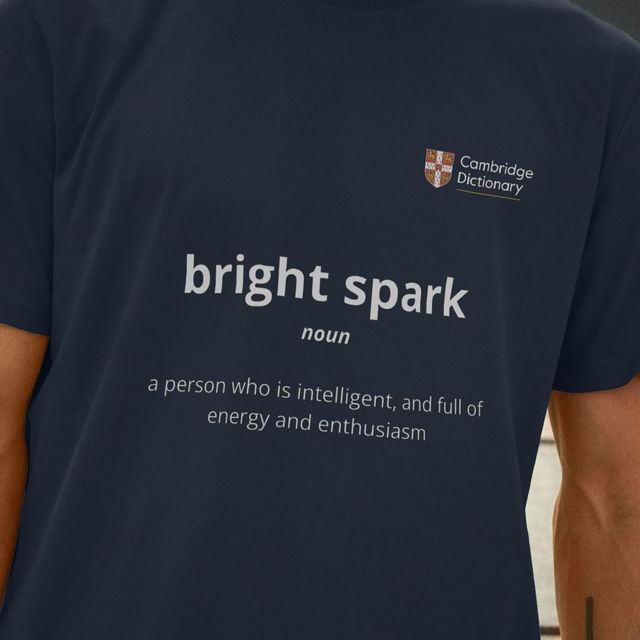 Bright Spark Notebook