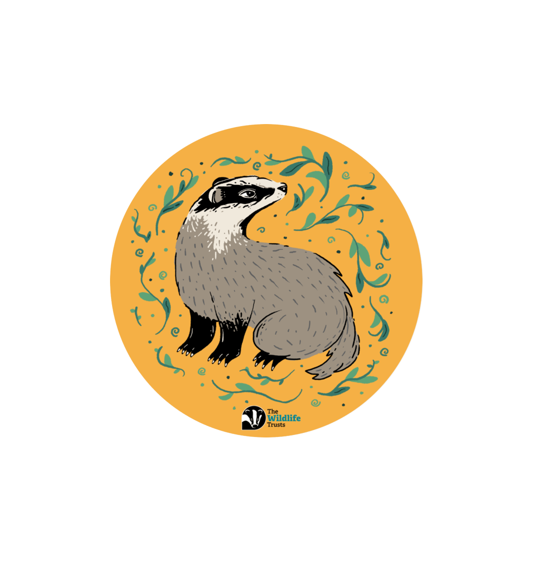 Badger Sticker | The Wildlife Trusts Official Store