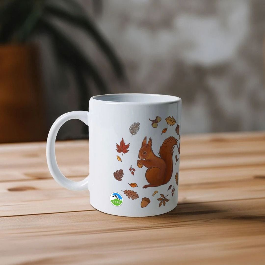 Squirrel mug