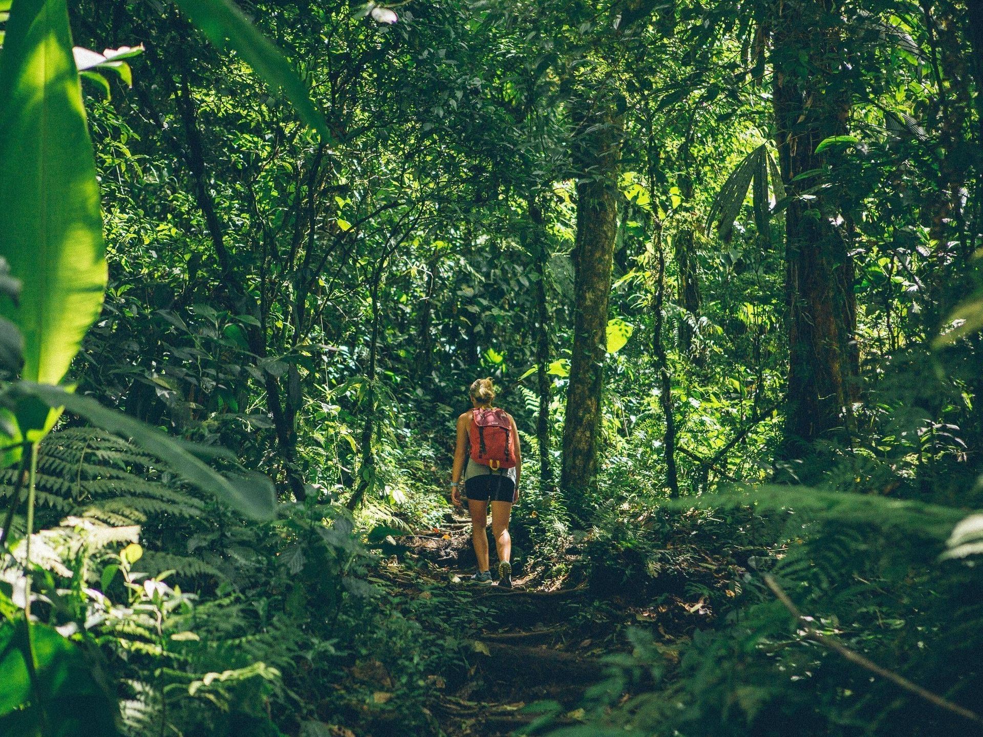 Hwyl - the Welsh equivalent of the Danish hygge