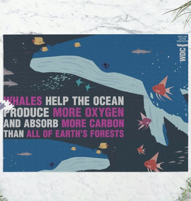 Save The Whales Sticker