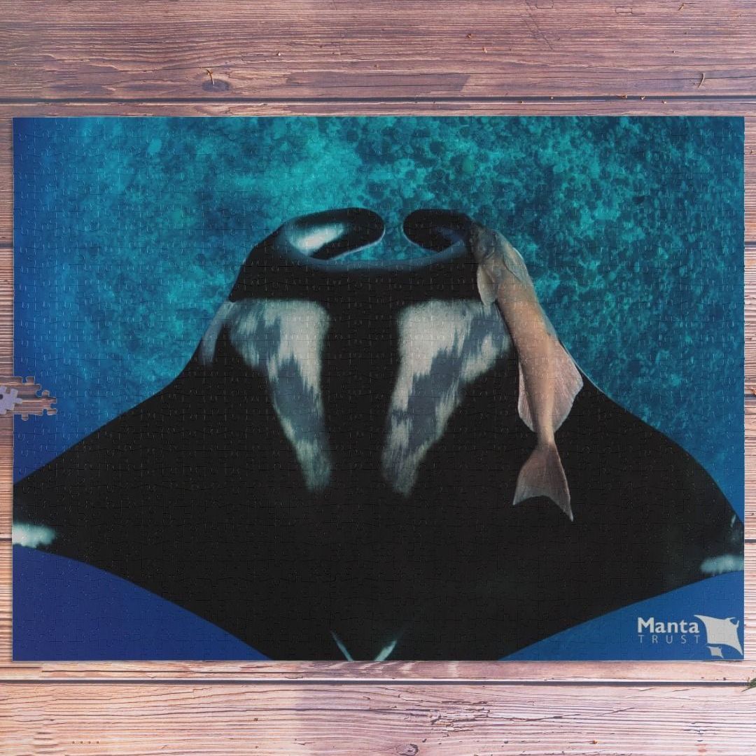 Oceanic Manta Ray Puzzle