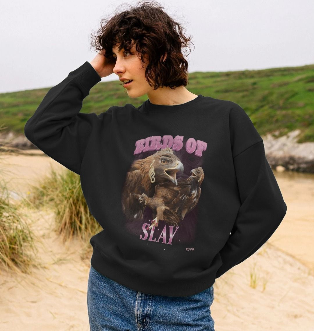 Birds Of Slay Oversized Jumper