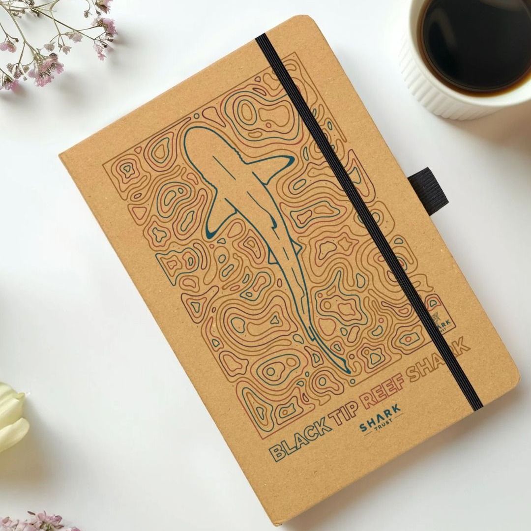 Shark Notebook | Recycled Shark Notepad | Shark Trust