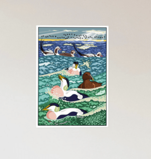 Colin Wilkinson Sea Ducks Art Print