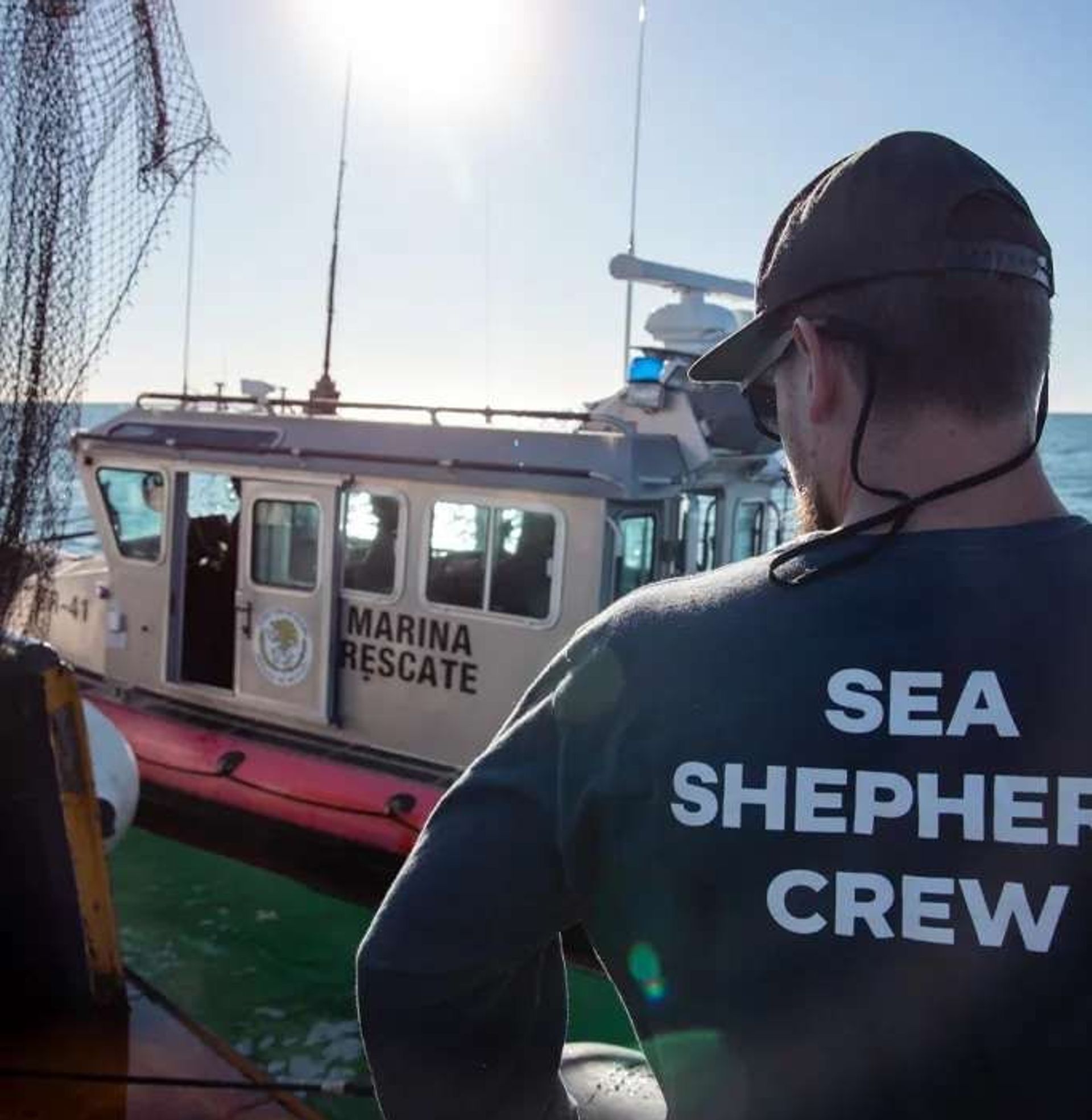 Sea Shepherd Conservation Society | Official Mechandise