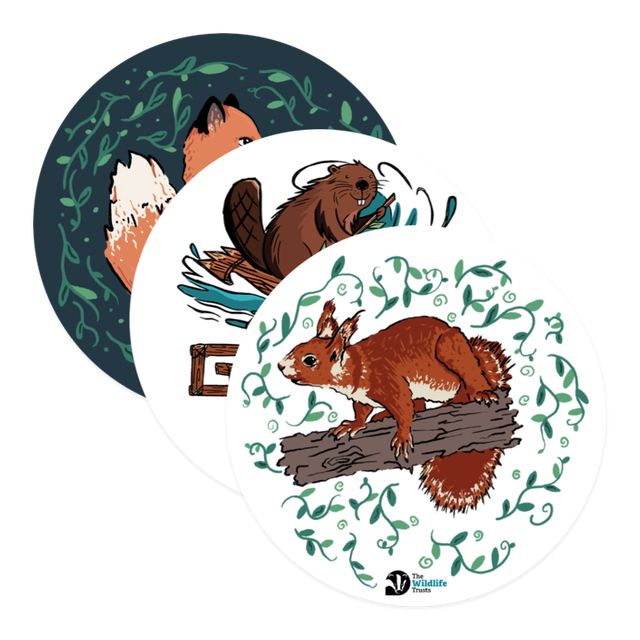 Wildlife Stickers Pack | The Wildlife Trusts Shop