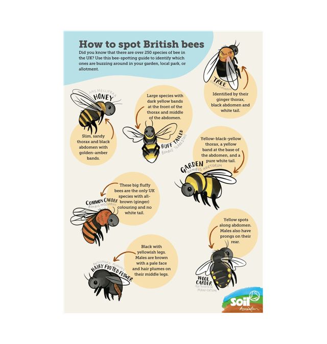 Worms, Worms, Worms Sticker