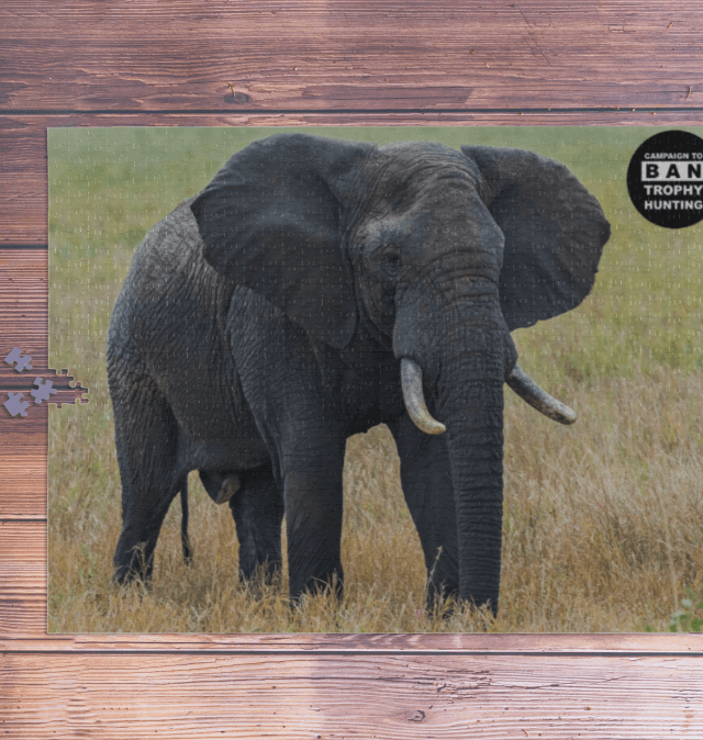 Elephant Jigsaw Puzzle