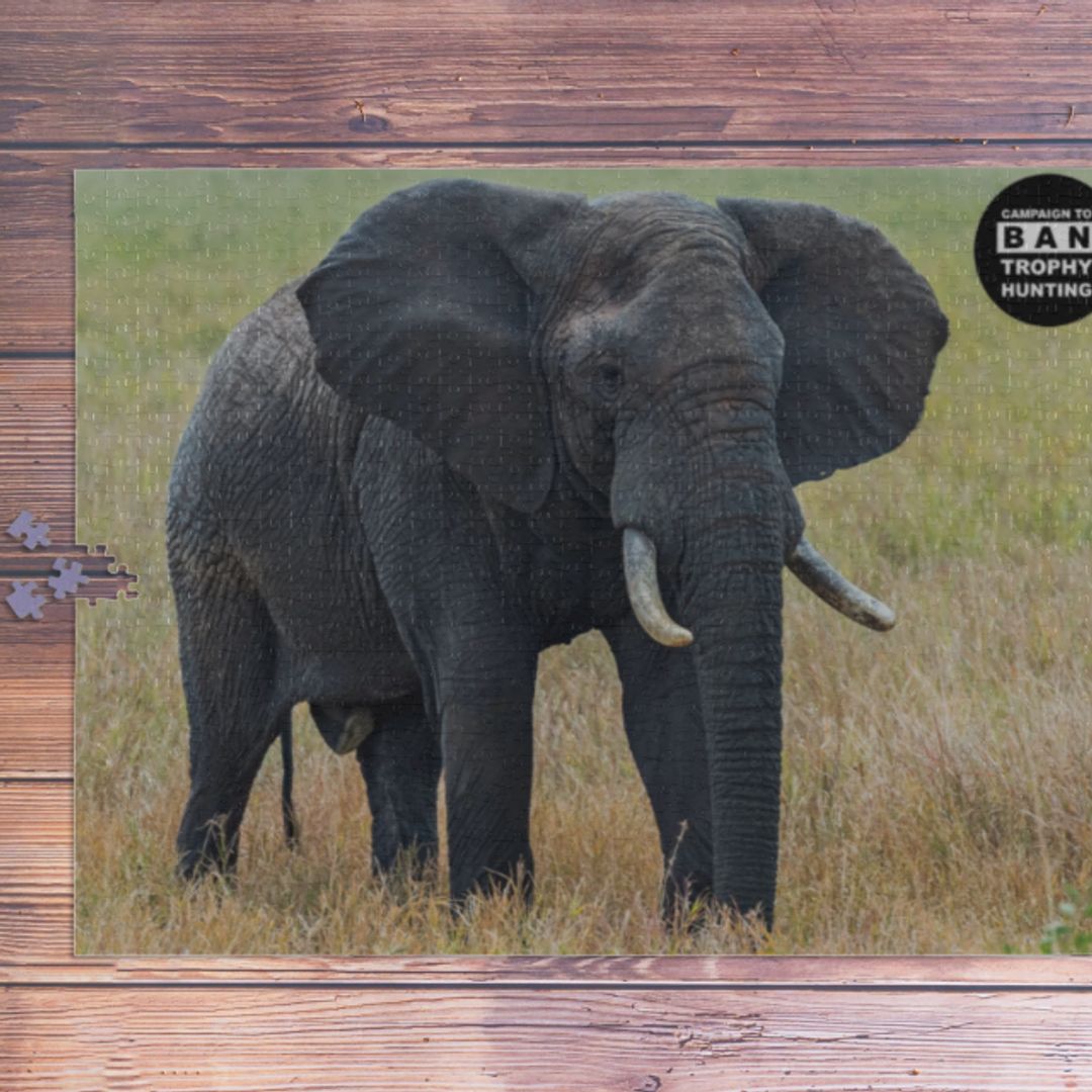 Elephant Jigsaw Puzzle