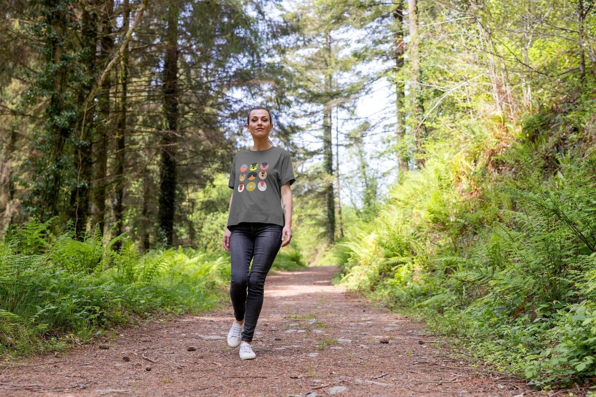 Alula Designs categories