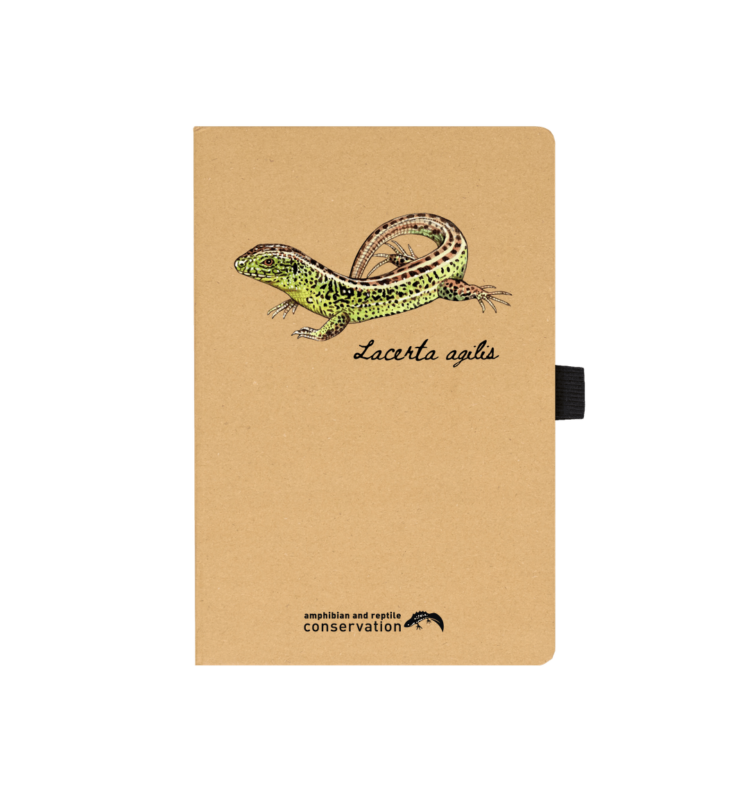 Sand lizard field notebook