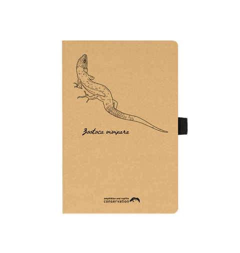Common lizard Field notebook