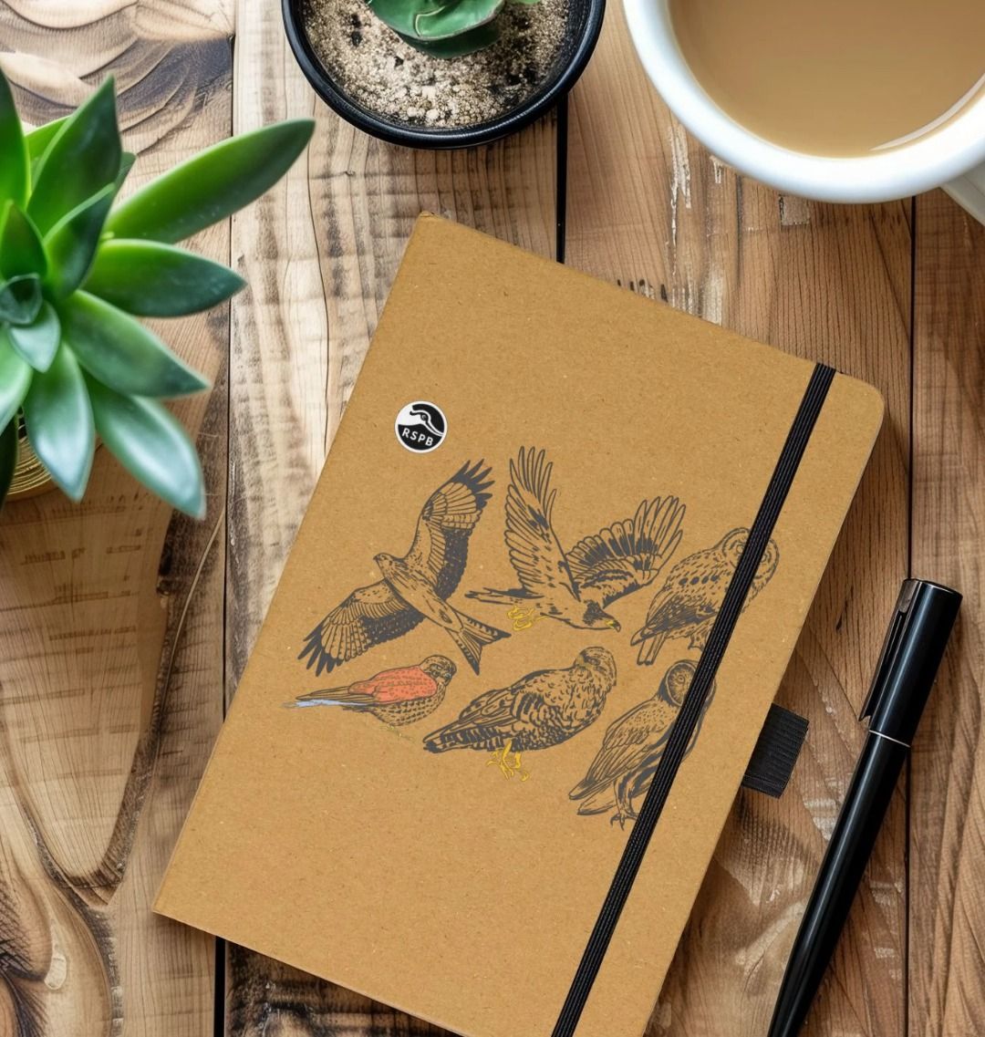Birds Of Prey Notebook | Official RSPB Shop