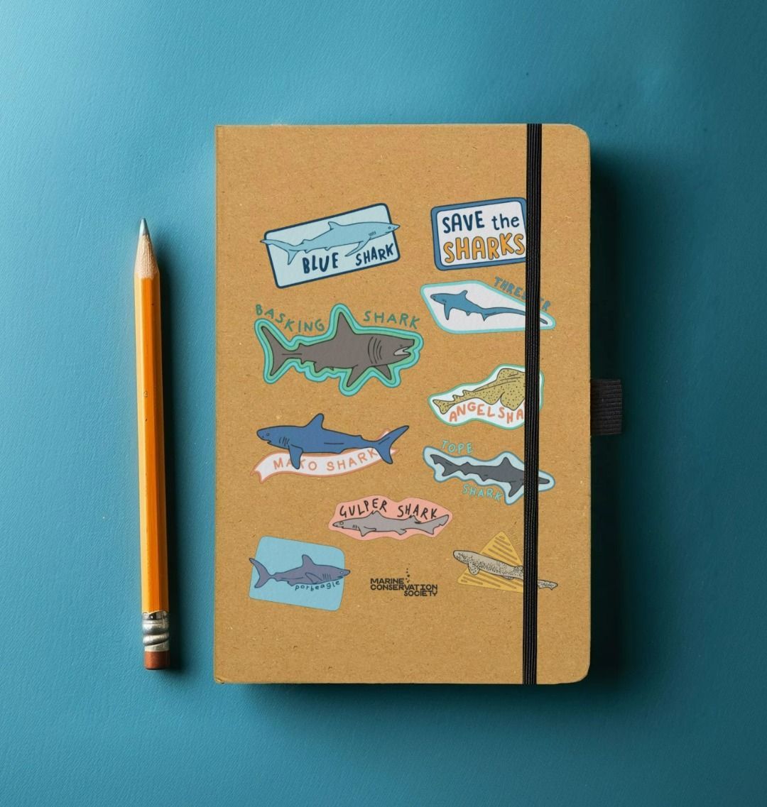 Shark Notebook