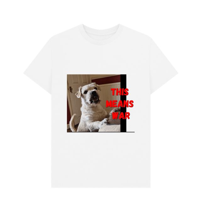 The Cool AF Collection