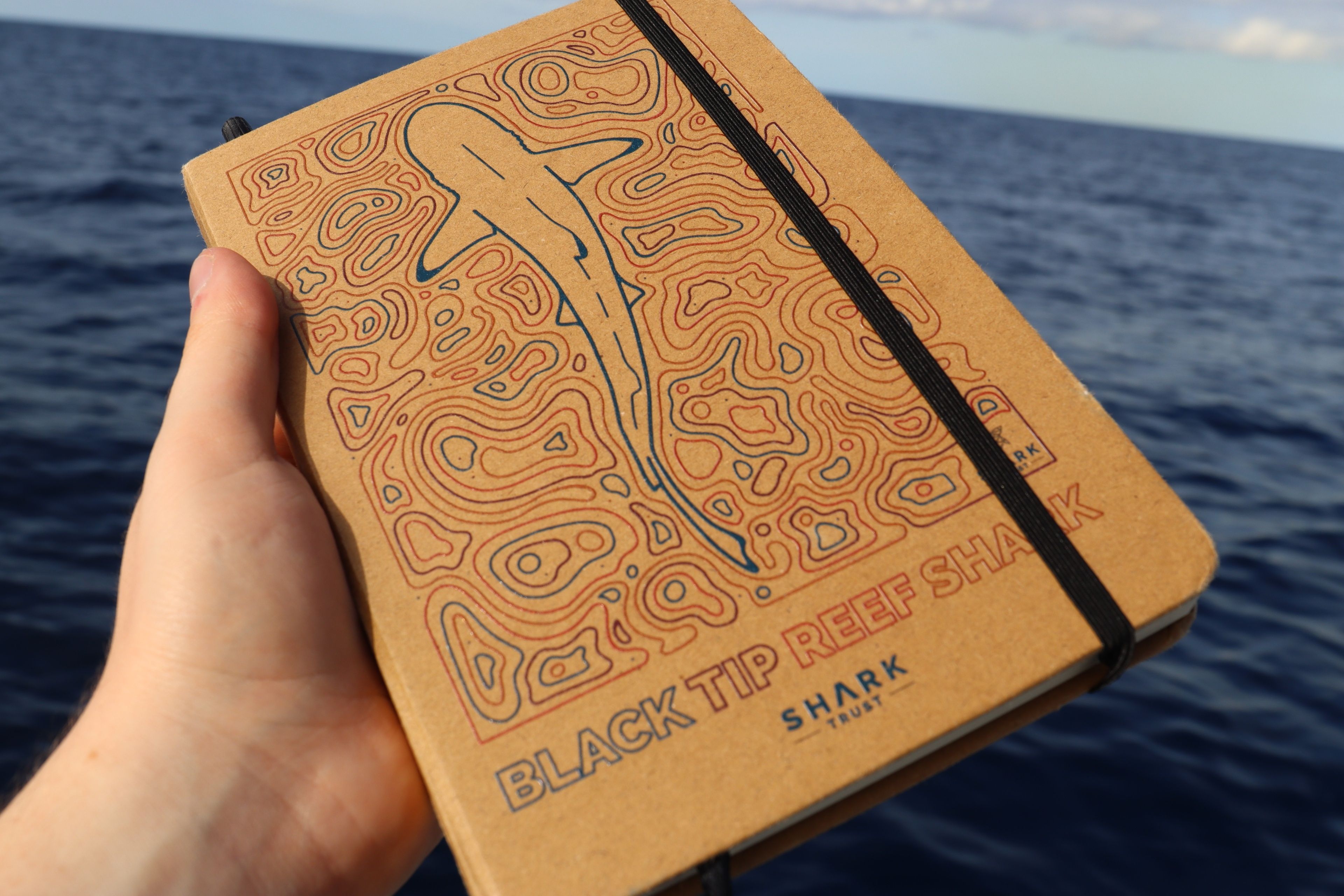 Shark Notebook | Recycled Shark Notepad | Shark Trust