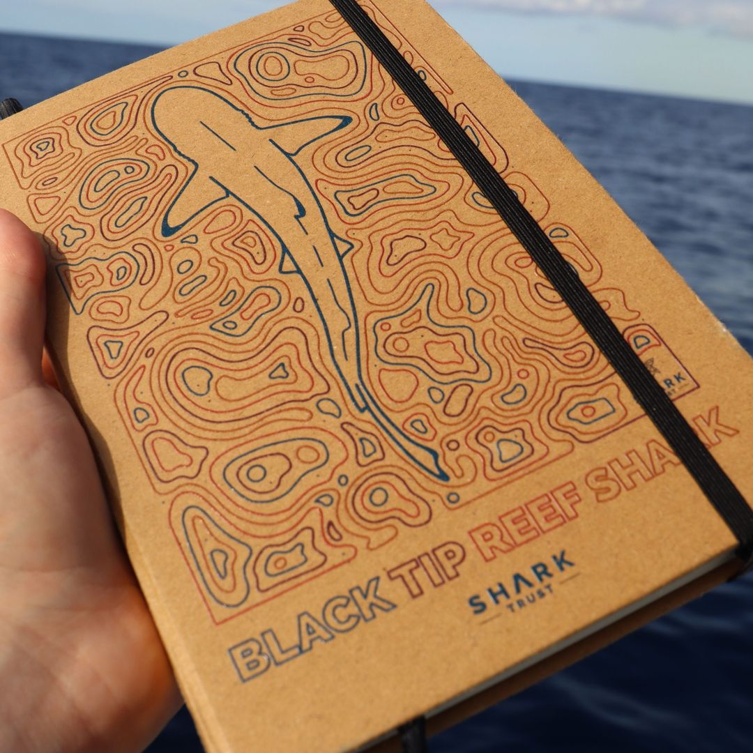 Shark Notebook | Recycled Shark Notepad | Shark Trust