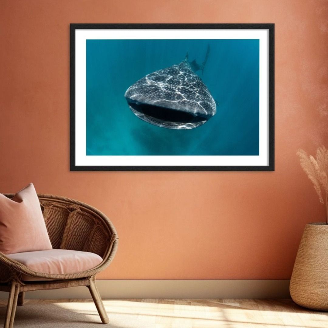 Whale Shark Art Print