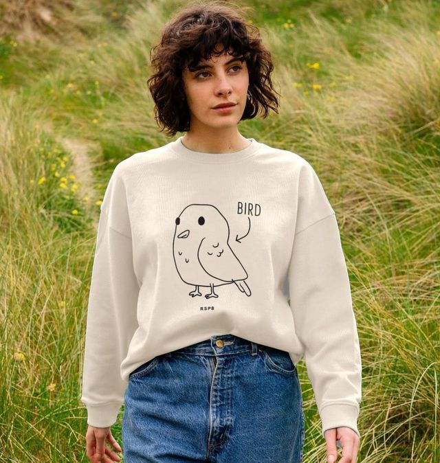 Birds Of Slay Oversized Jumper