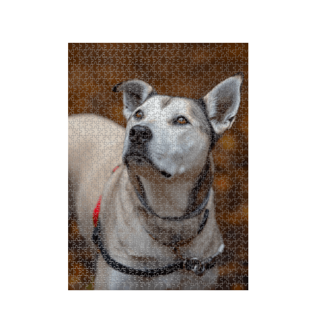 AJ jigsaw puzzle (hard)