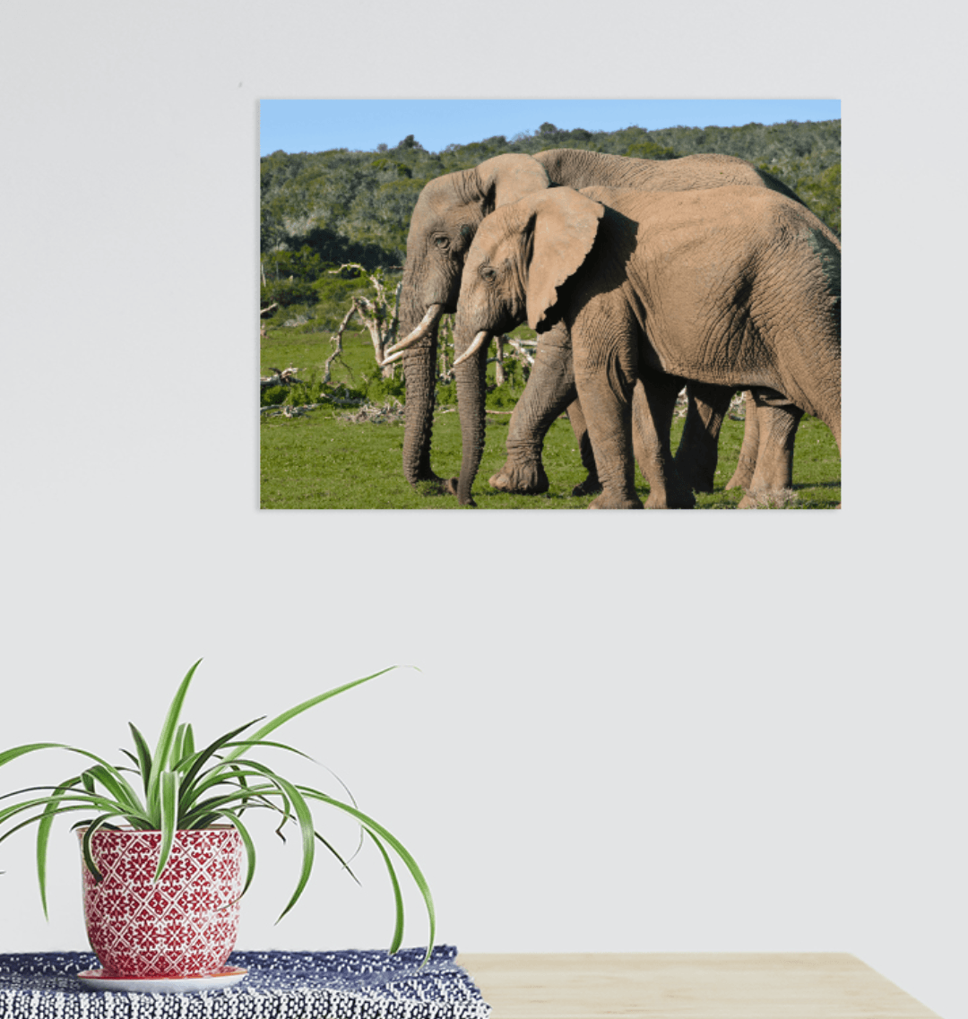 Elephant Print A4 Art & Collectibles Digital Prints Prints etna.com.pe