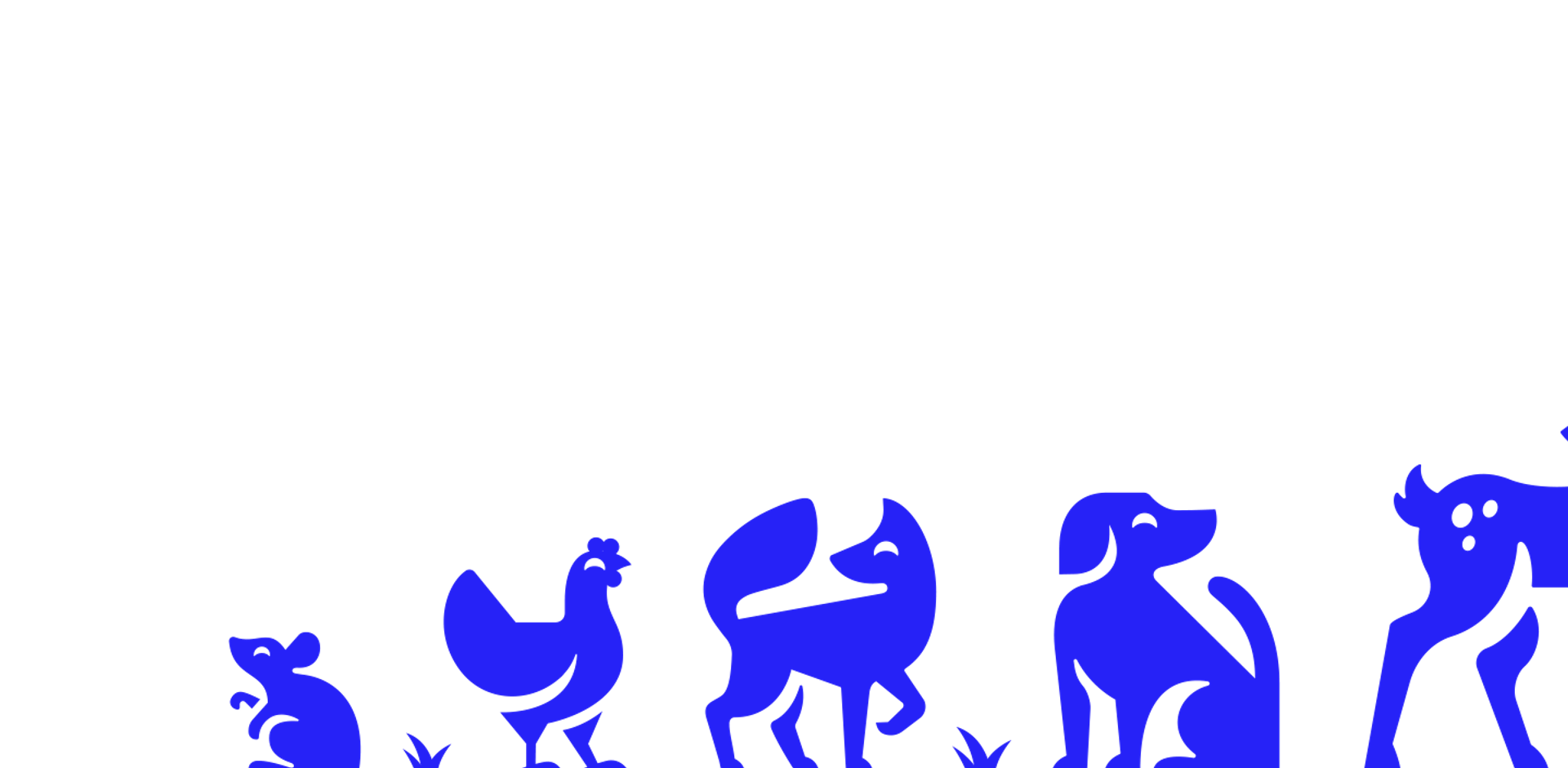 Women | Official RSPCA Clothing