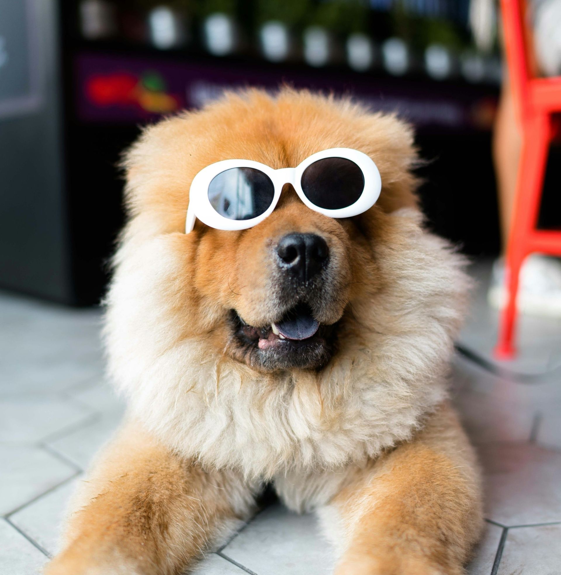 The Stroppy Colleague