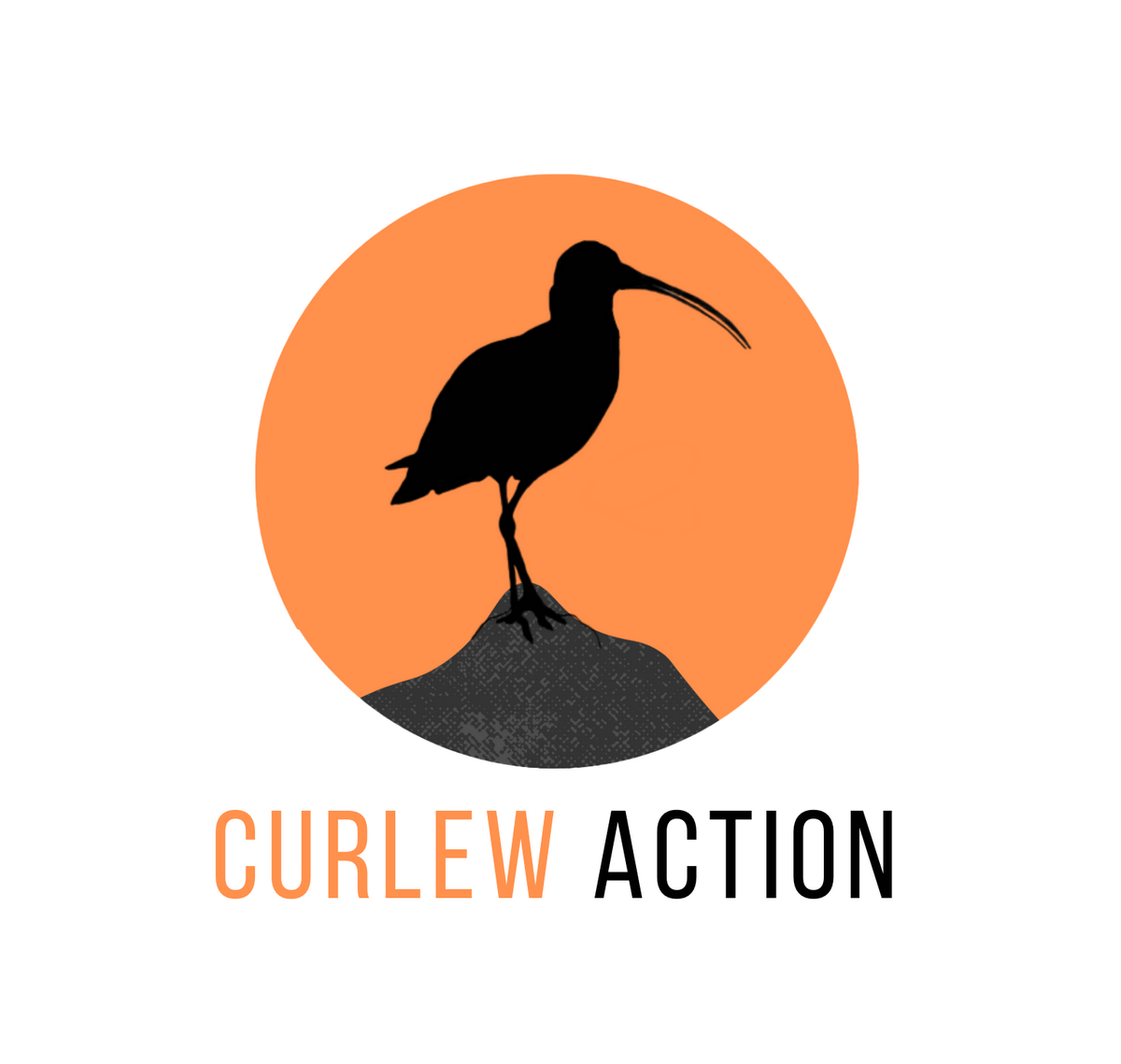 Curlew Action