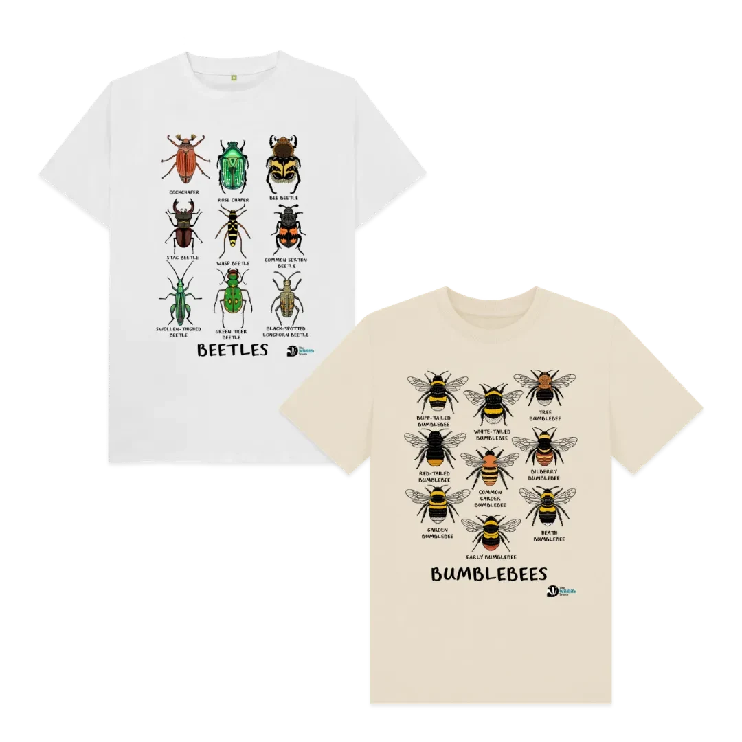Kid's Bee & Beetle Bundle