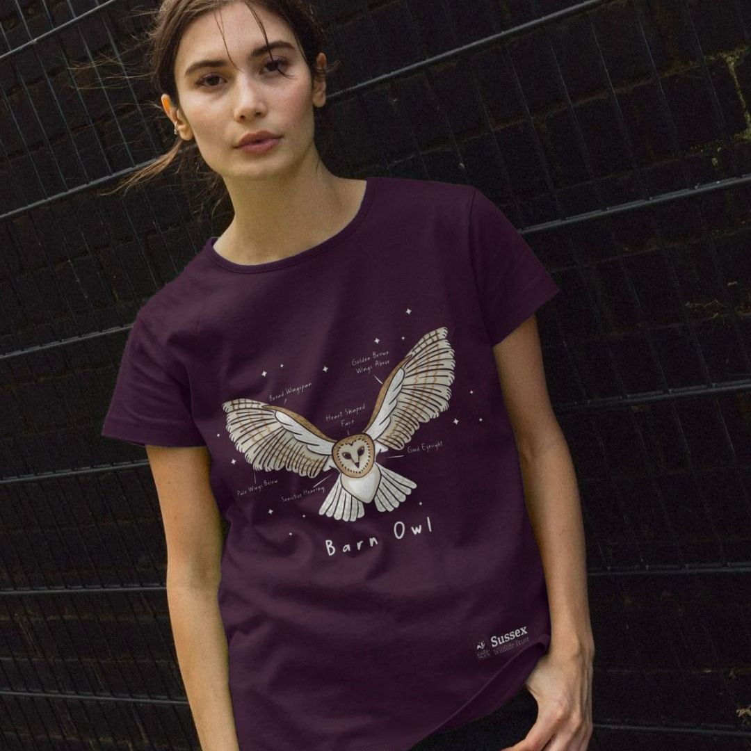 Barn Owl Top