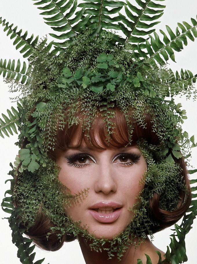 Fables of the Fern Owl