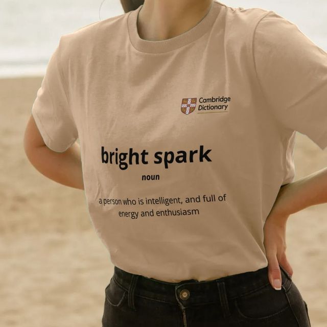 Bright Spark Notebook