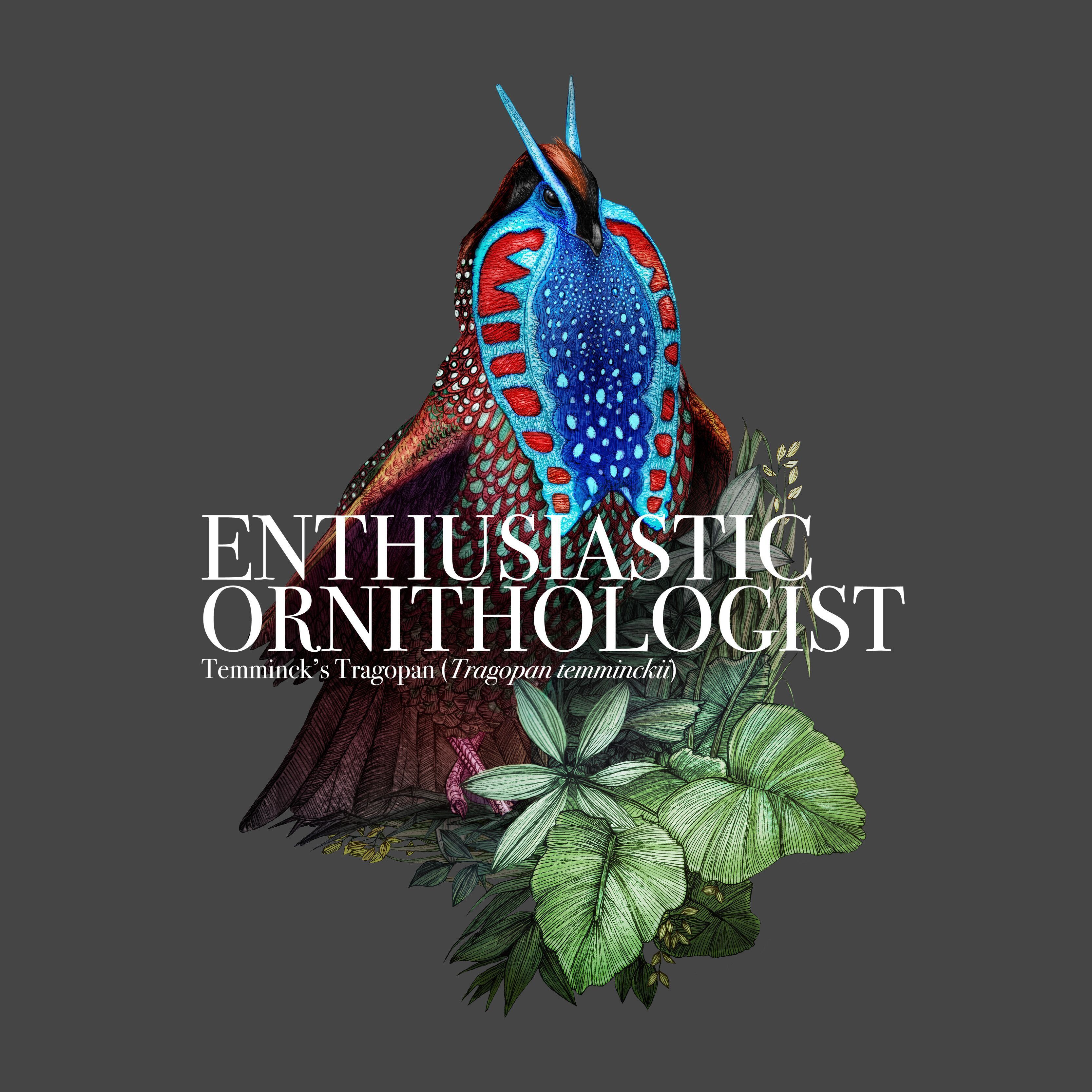 Temminck's Tragopan. A Day at The Museum